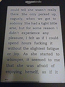 Houellebecq - Brian Eckert Brian Eckert