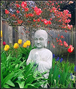 The Relapse - Brian Eckert Brian Eckert