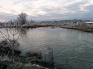 Frozen - Brian Eckert Brian Eckert