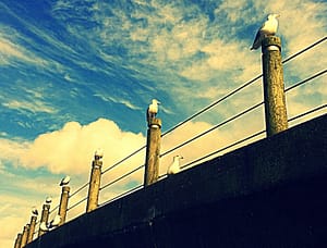 Gully - Brian Eckert Brian Eckert